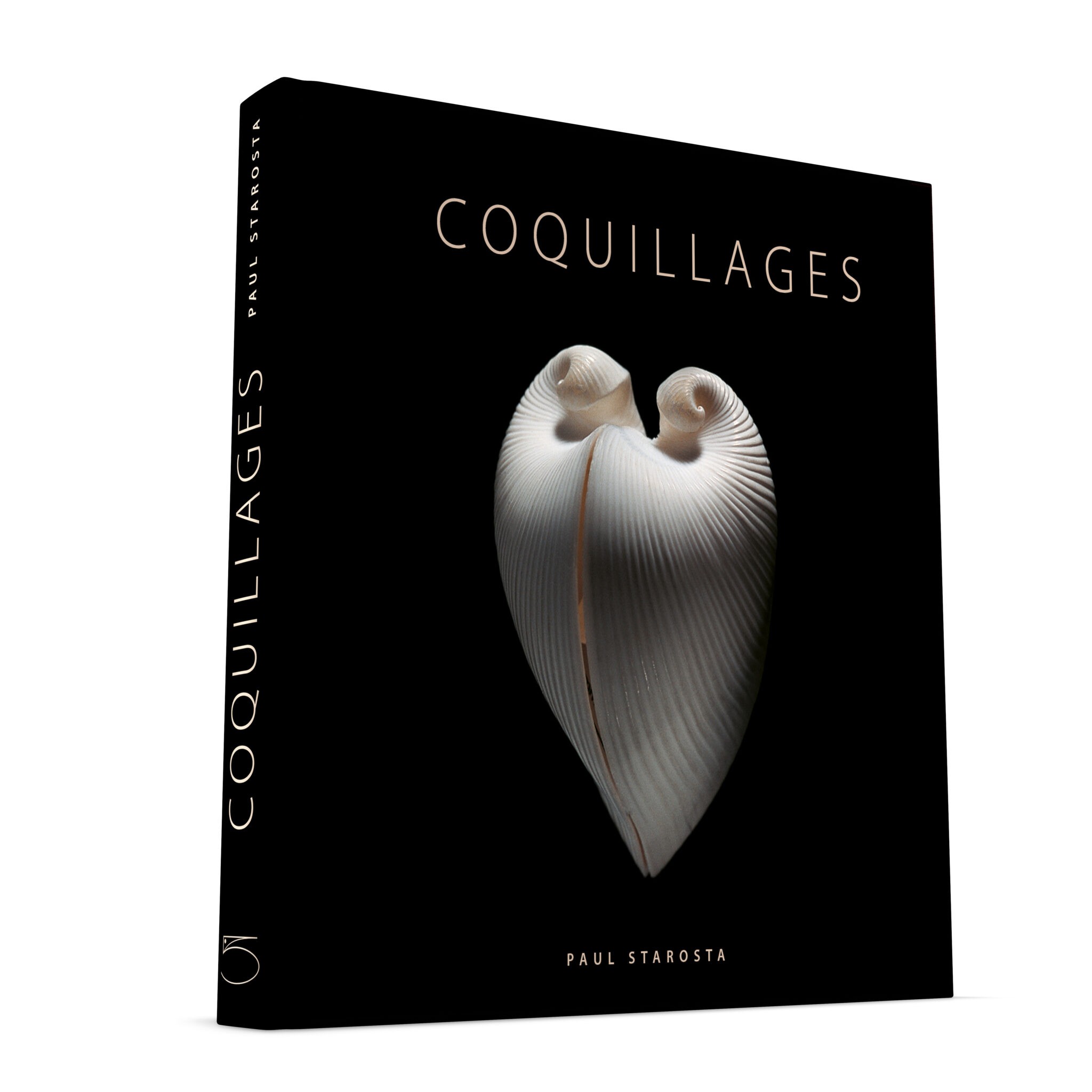 COQUILLAGES - 5 Continents Editions